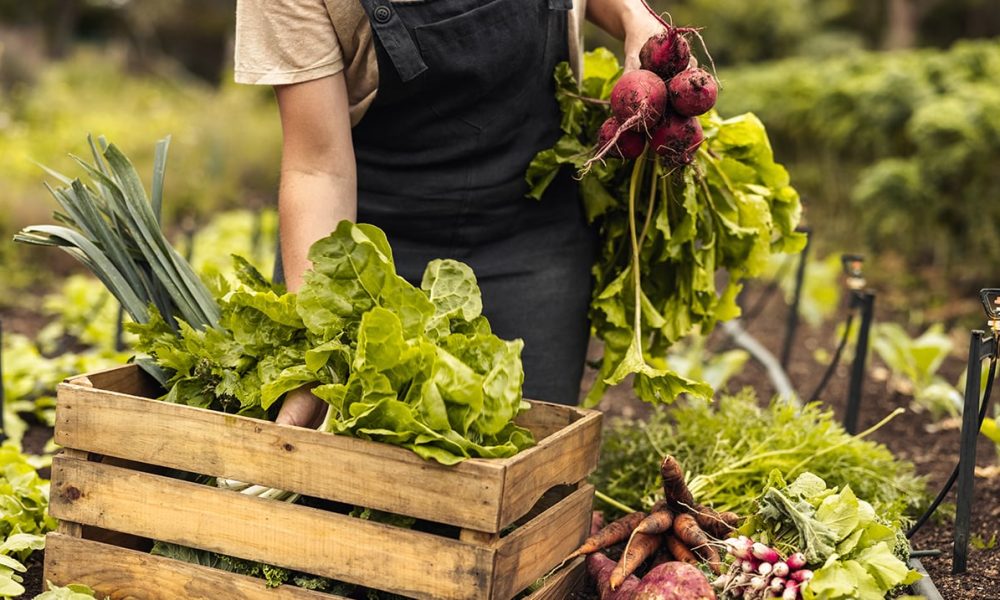 Achieving holistic sustainability through food systems - EU Reporter