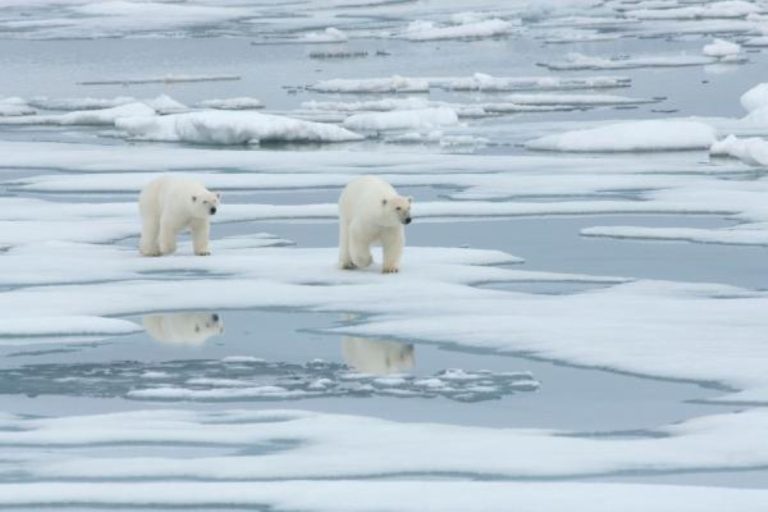 The Earth is accumulating heat at an accelerating rate: Global warming ...