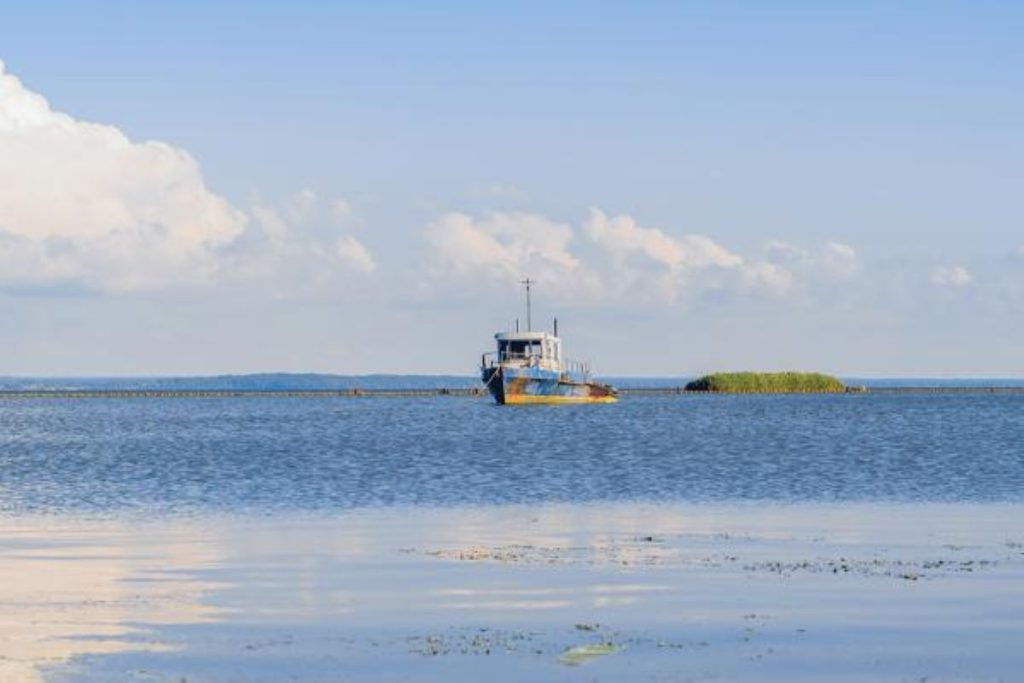 Commission proposes fishing opportunities for 2026 in the Baltic Sea ...