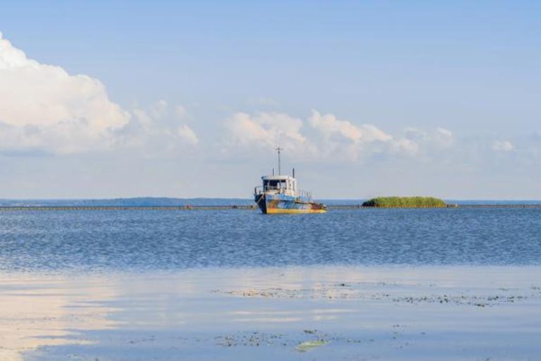 Commission proposes fishing opportunities for 2026 in the Baltic Sea ...