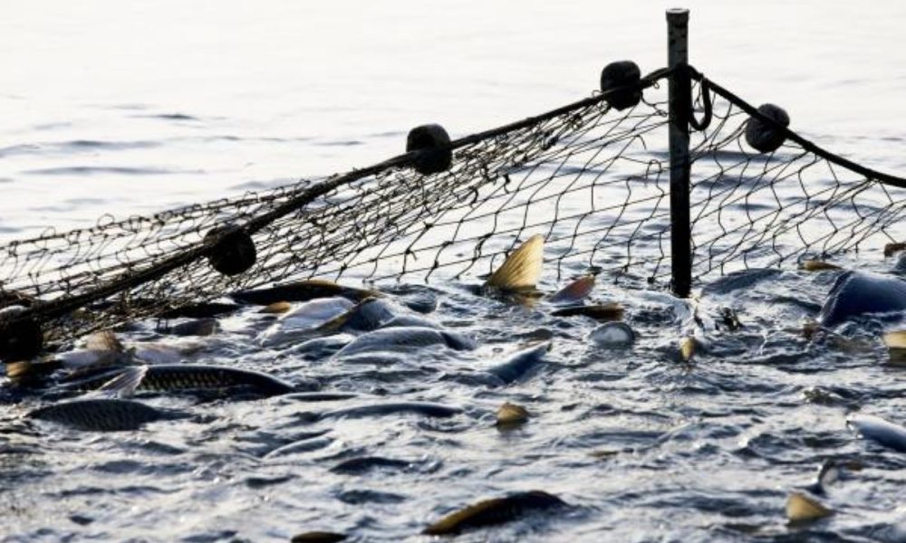 Commission adopts guidance on Natura 2000 and fishing - EU Reporter