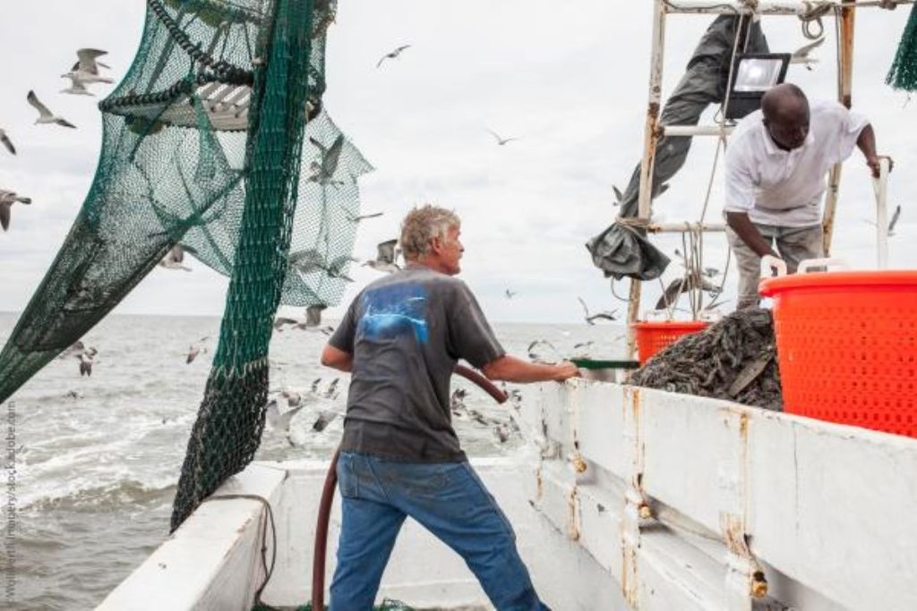 Commission publishes first annual social report on fisheries ...